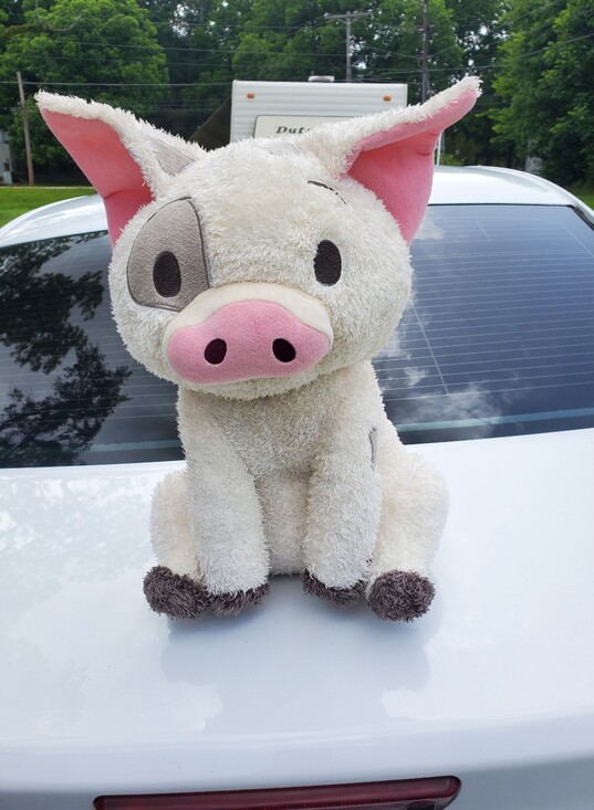 Disney | Toys | Disney Parks 6 Moana Pig Pua Weighted Plush | Poshmark